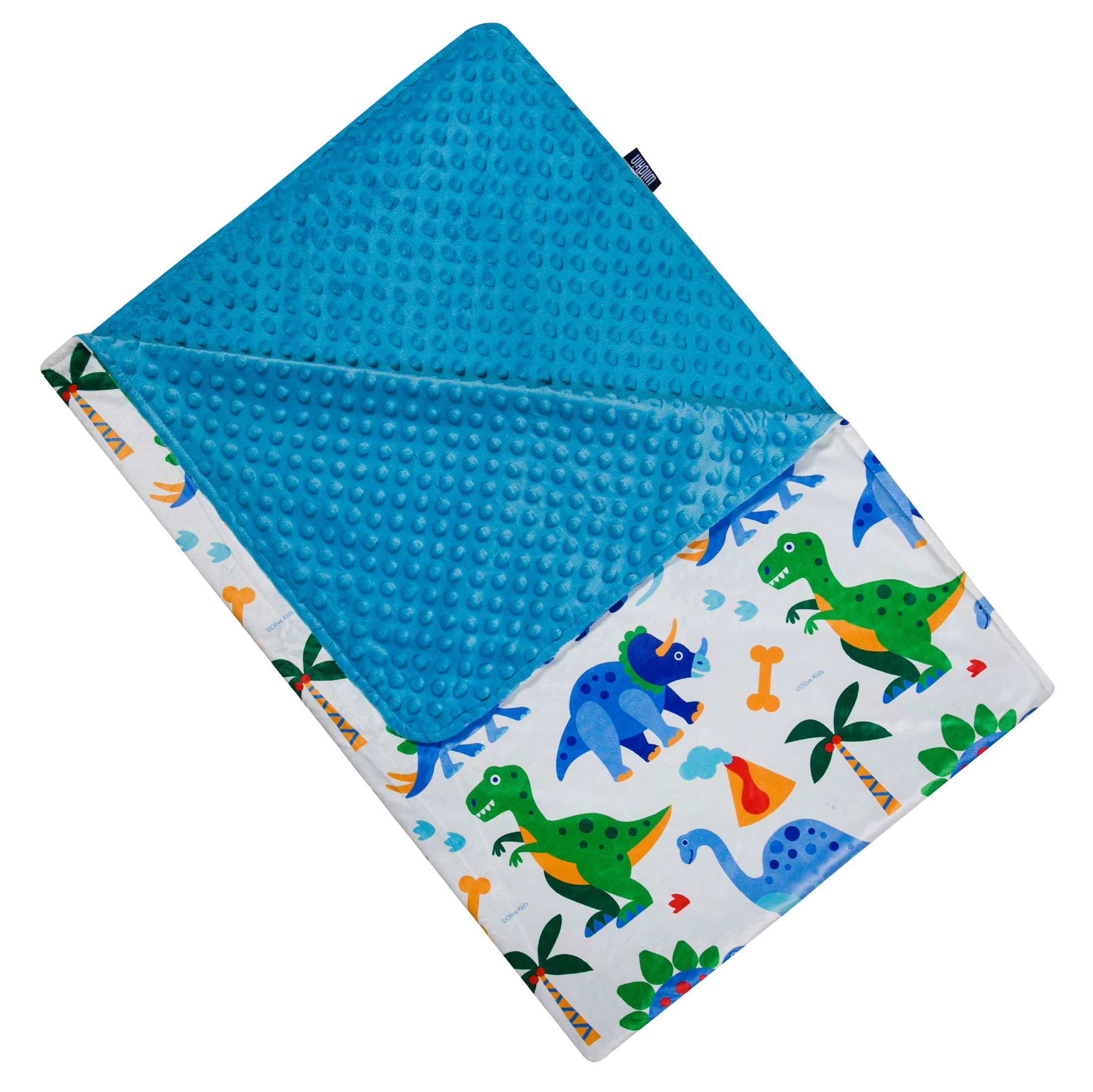 Wildkin Kids Plush Velour Throw Blanket for Girls and Boys (Dinosaur ...