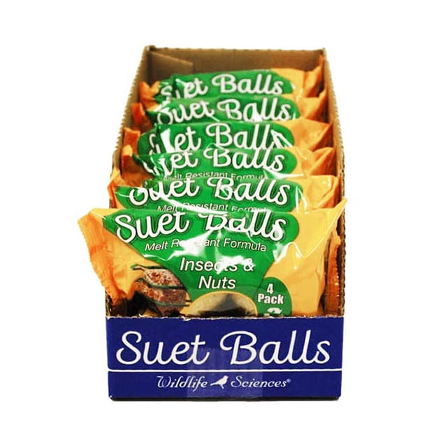 WILD.LIFE Insect & Nut Suet Balls, 16 oz, Pack of 4, Bird Food for ...