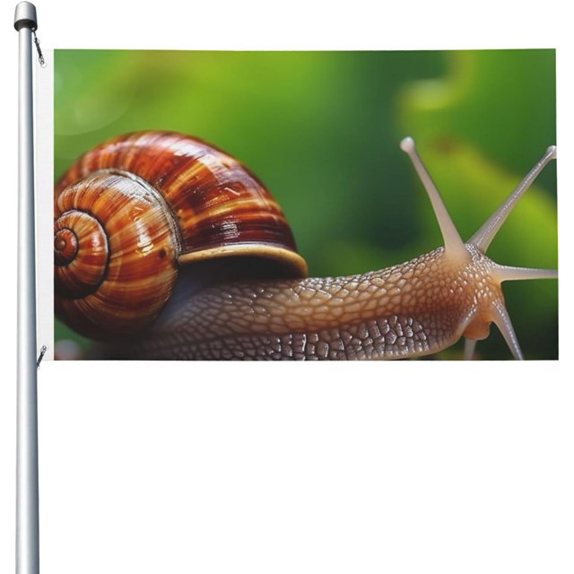 Wildlife Animal Snail Flag 2x3 ft Flags for Outside Funny Banner Garden ...