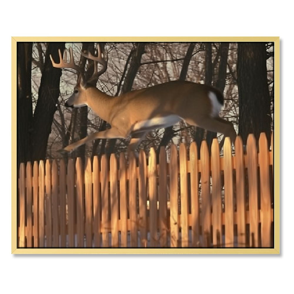 Wildlife Animal Whitetail Deer Jumping Fence Wall Decor Art Print ...
