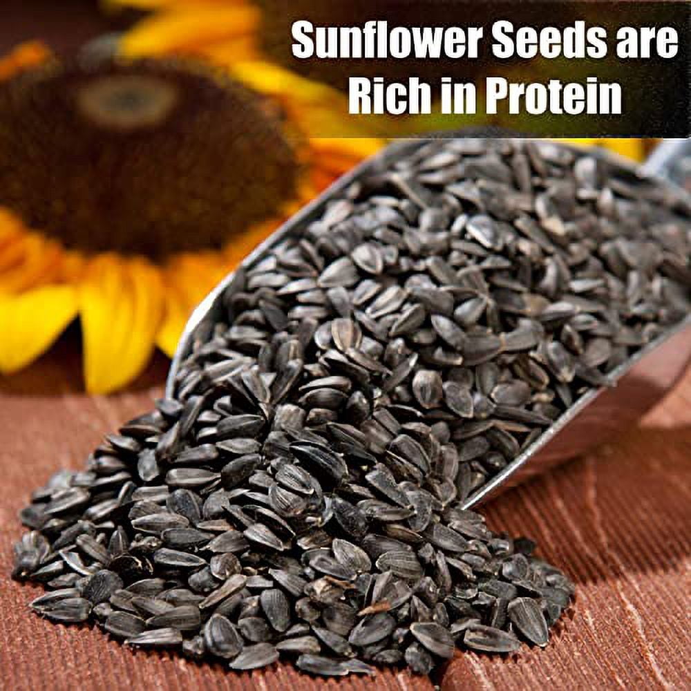 Wildlife Black Oil Sunflower Seeds for Birds and Wildlife, Non-GMO ...