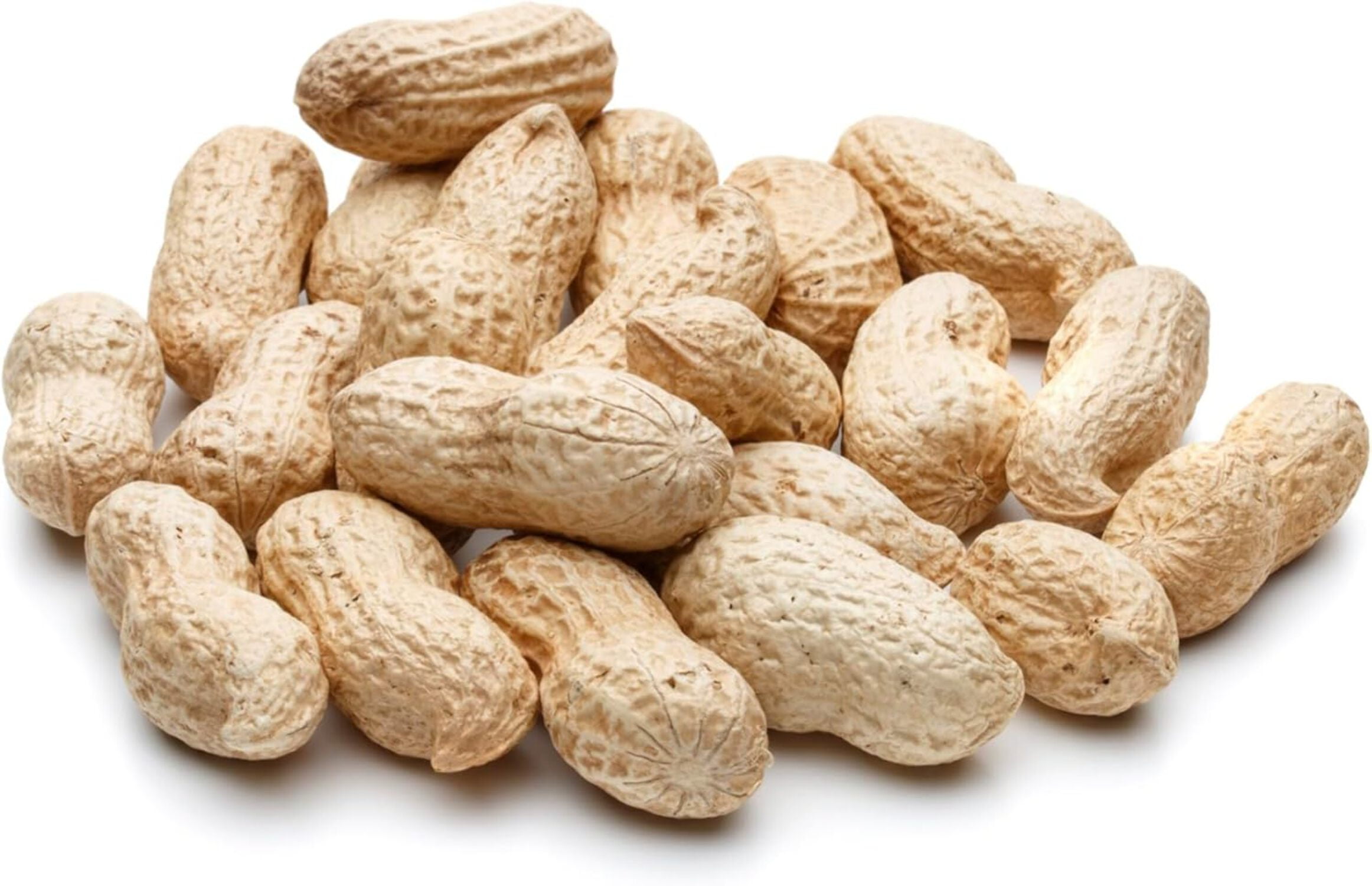 Wildlife Feed Raw Peanuts- Our in-Shell Peanuts are The Ideal Critter ...
