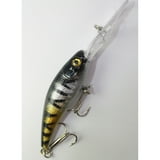 Wildlife Lures 3" inch Bunker Hard Fishing Lure Bait (Banded Leporinus ...