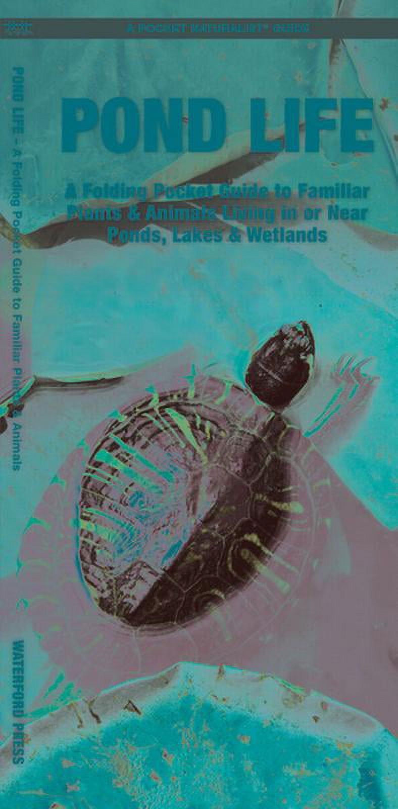 Wildlife and Nature Identification: Pond Life : A Folding Pocket Guide ...