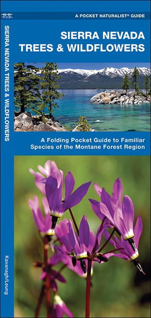 Wildlife and Nature Identification: Sierra Nevada Trees & Wildflowers ...