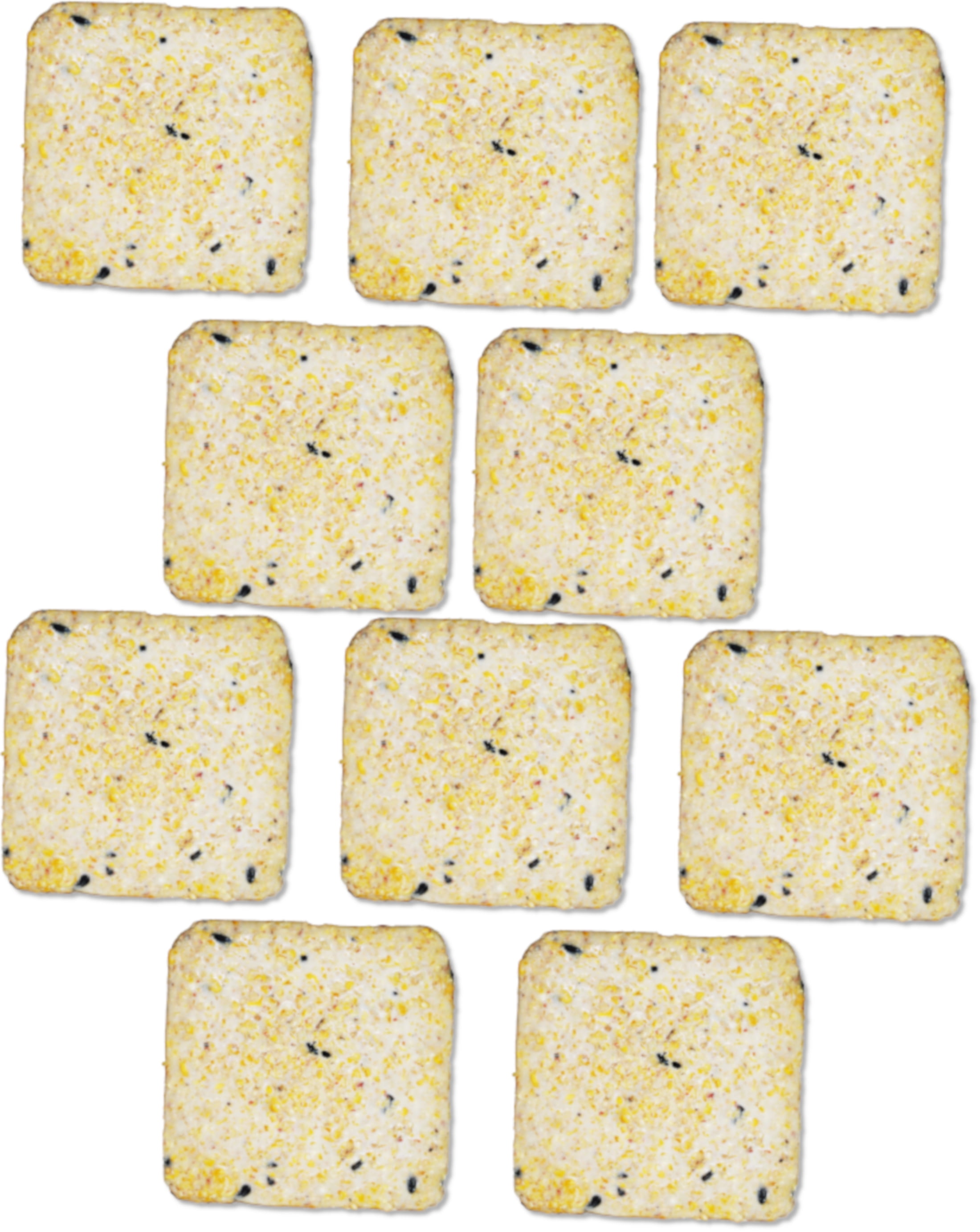 Wildlife Sciences Wild Bird Suet Cake 10 Pack for Wild Birds New ...