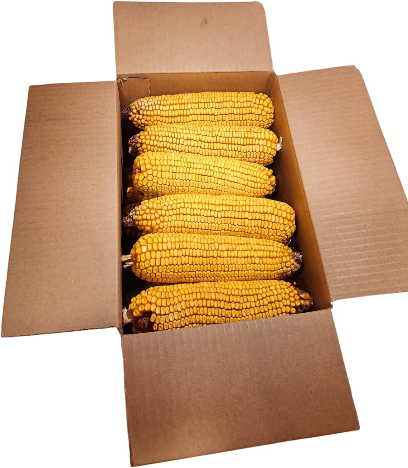 Wildlife Treats,Ear Corn Kernels, Hand Packed Boxes, Squirrel Food, 10 ...