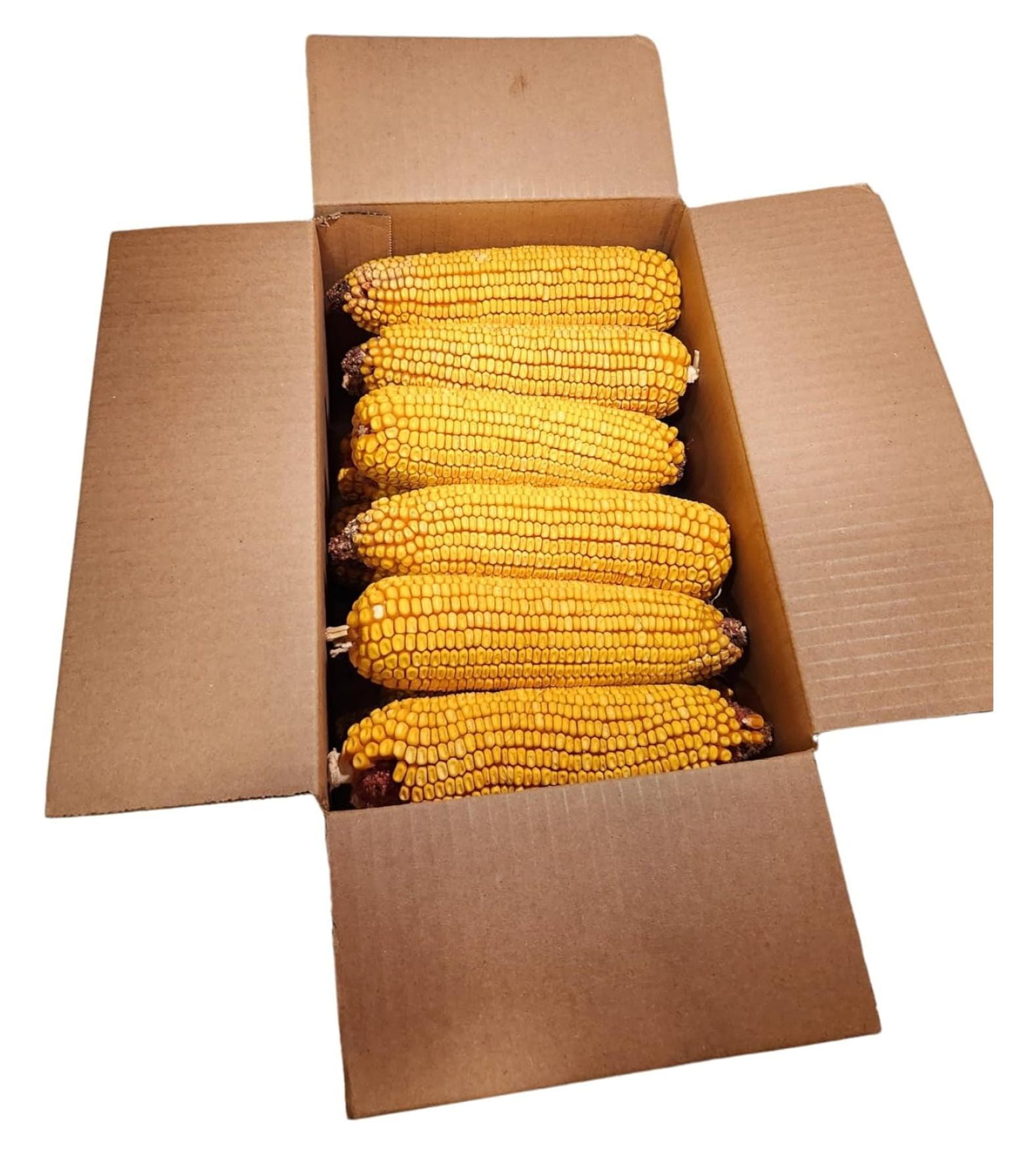 Wildlife Treats,Ear Corn Kernels, Hand Packed Boxes, Squirrel Food, 10 ...