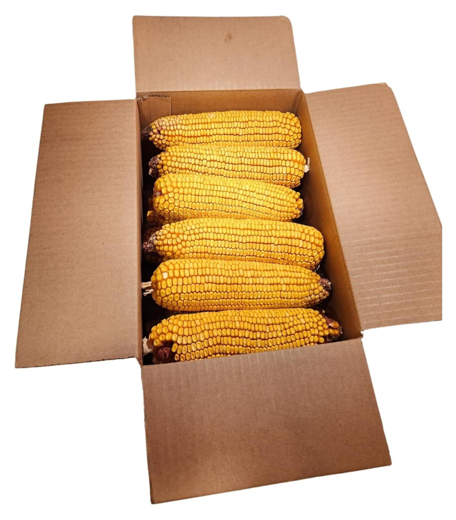 Wildlife Treats,Ear Corn Kernels, Hand Packed Boxes, Squirrel Food ...