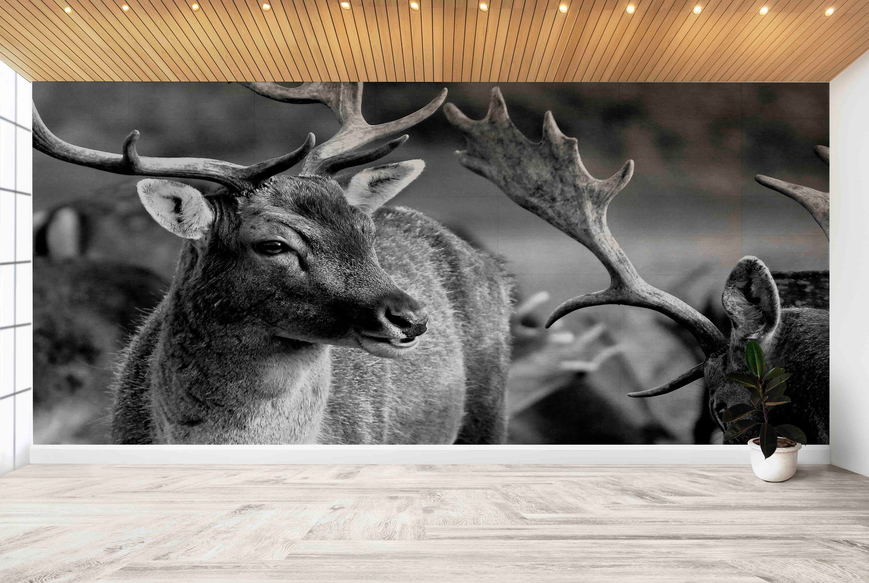 Wildlife Wallpaper, Deer Wallpaper, Deer Wildlife Photo Print, Paper ...