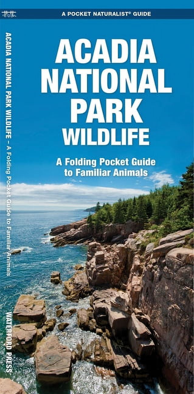 Wildlife and Nature Identification: Acadia National Park Wildlife : A ...