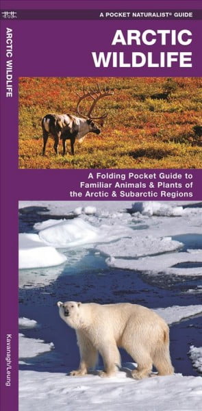 Wildlife and Nature Identification: Arctic Wildlife : A Folding Pocket ...