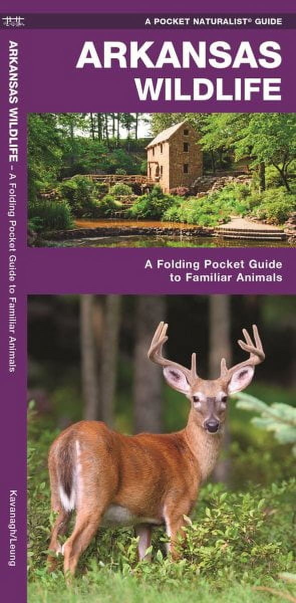 Wildlife and Nature Identification: Arkansas Wildlife : A Folding ...