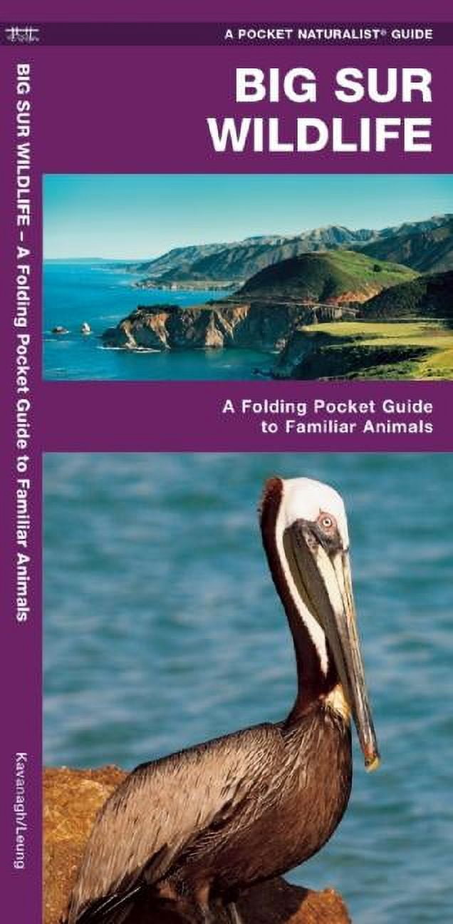 Wildlife and Nature Identification: Big Sur Wildlife : A Folding Pocket ...