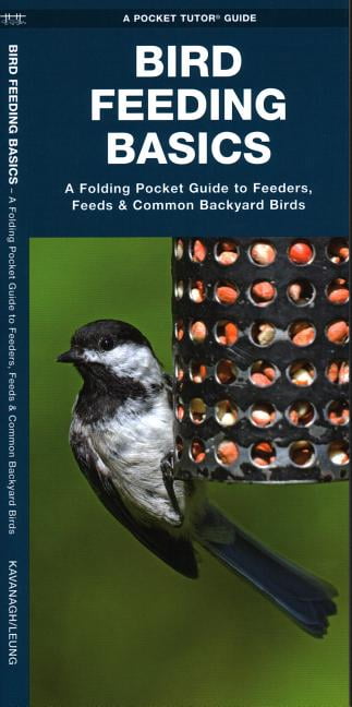 Wildlife and Nature Identification: Bird Feeding Basics : An ...