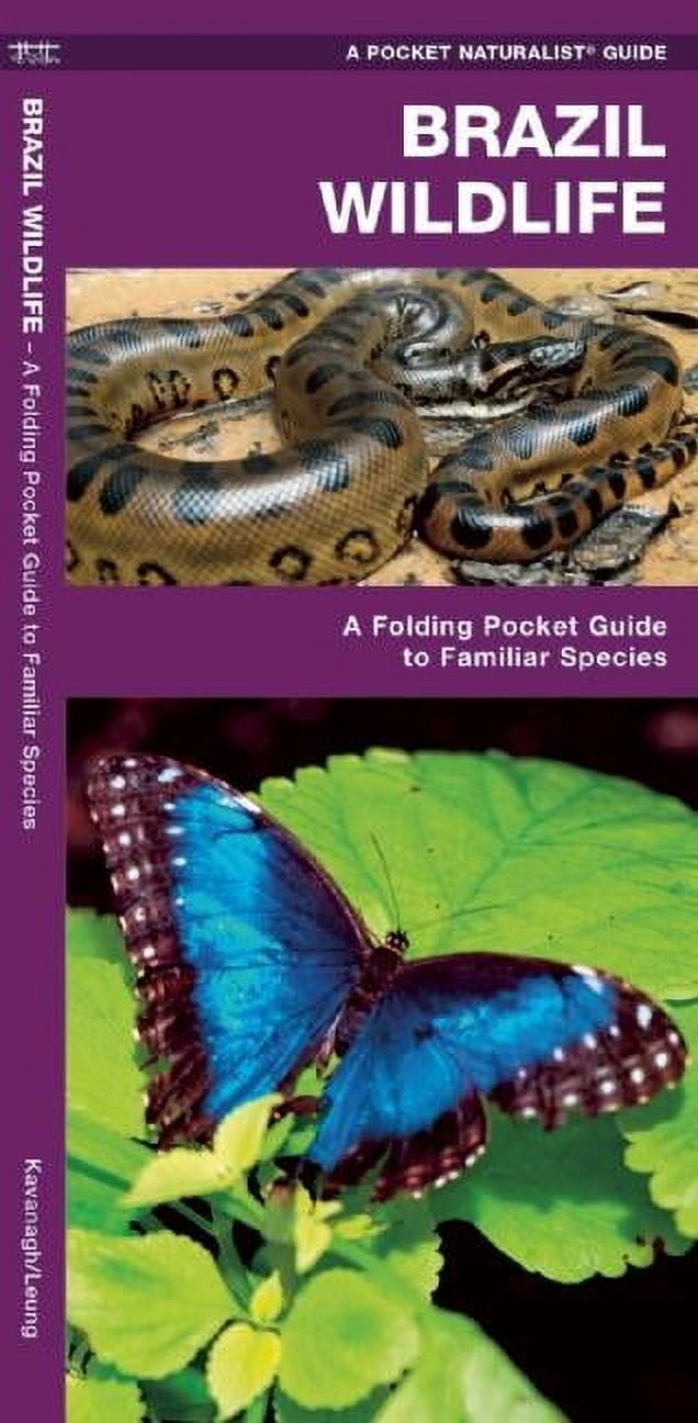 Wildlife and Nature Identification: Brazil Wildlife : A Folding Pocket ...