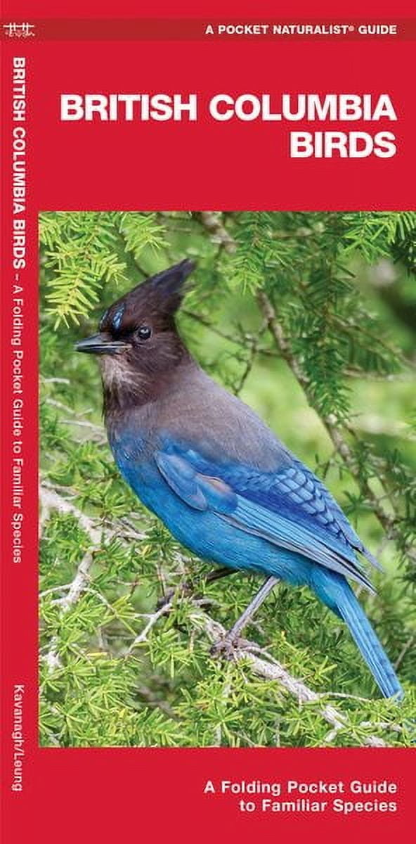 Wildlife and Nature Identification: British Columbia Birds : A Folding ...