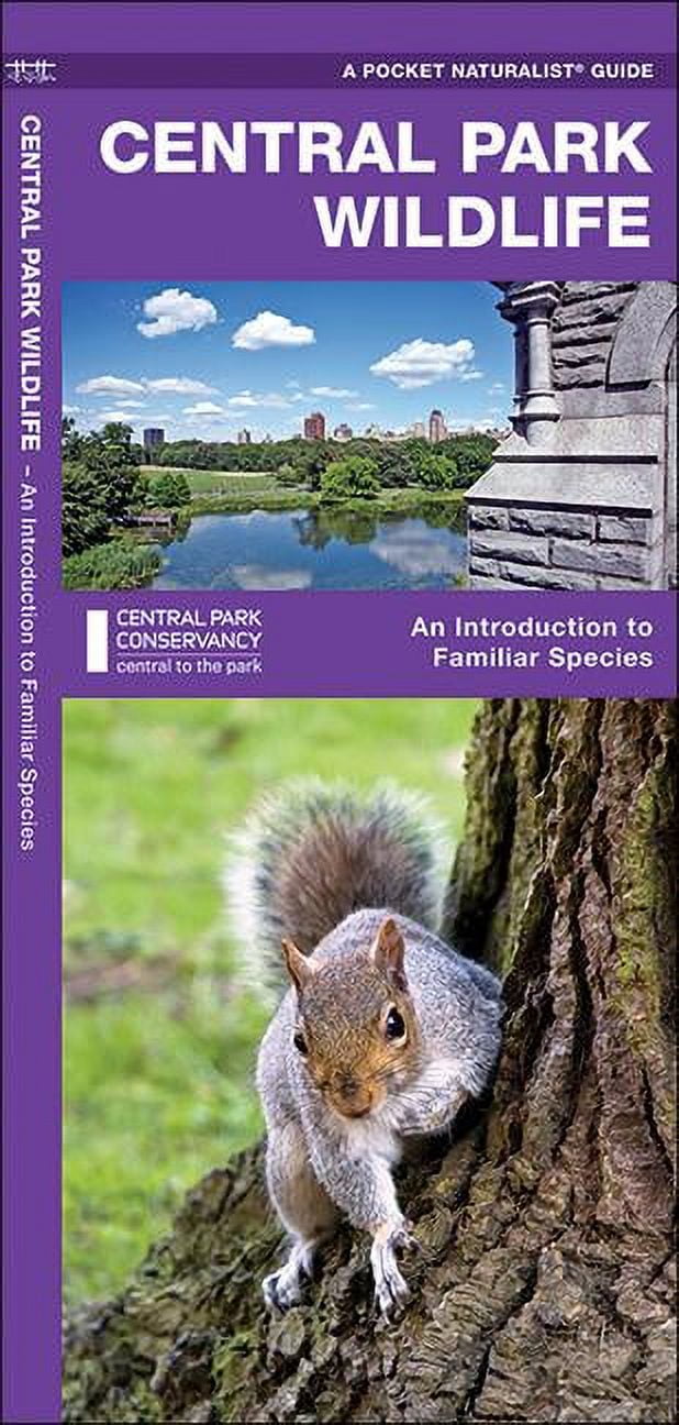 Wildlife and Nature Identification: Central Park Wildlife : A Folding ...