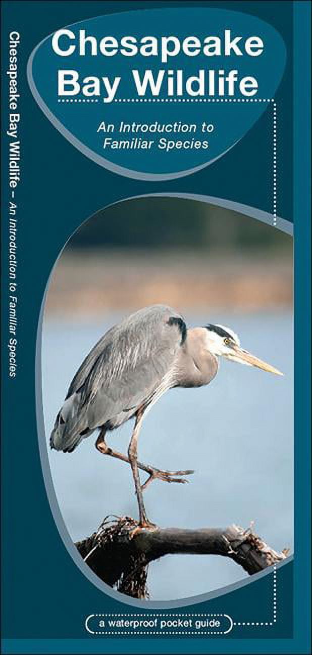 Wildlife and Nature Identification: Chesapeake Bay Wildlife : An ...