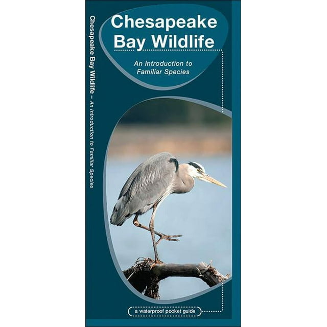 Wildlife and Nature Identification: Chesapeake Bay Wildlife : An ...