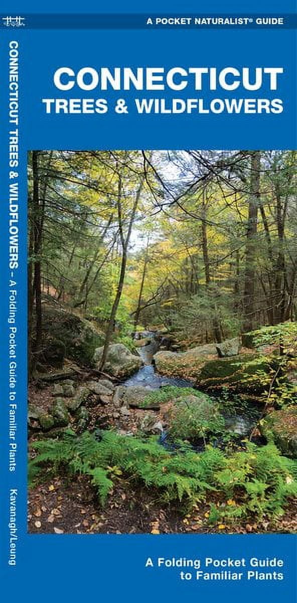 Wildlife and Nature Identification: Connecticut Trees & Wildflowers : A ...
