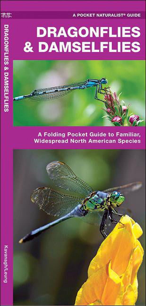 Wildlife and Nature Identification: Dragonflies & Damselflies : A ...