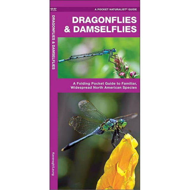 Wildlife and Nature Identification: Dragonflies & Damselflies : A ...