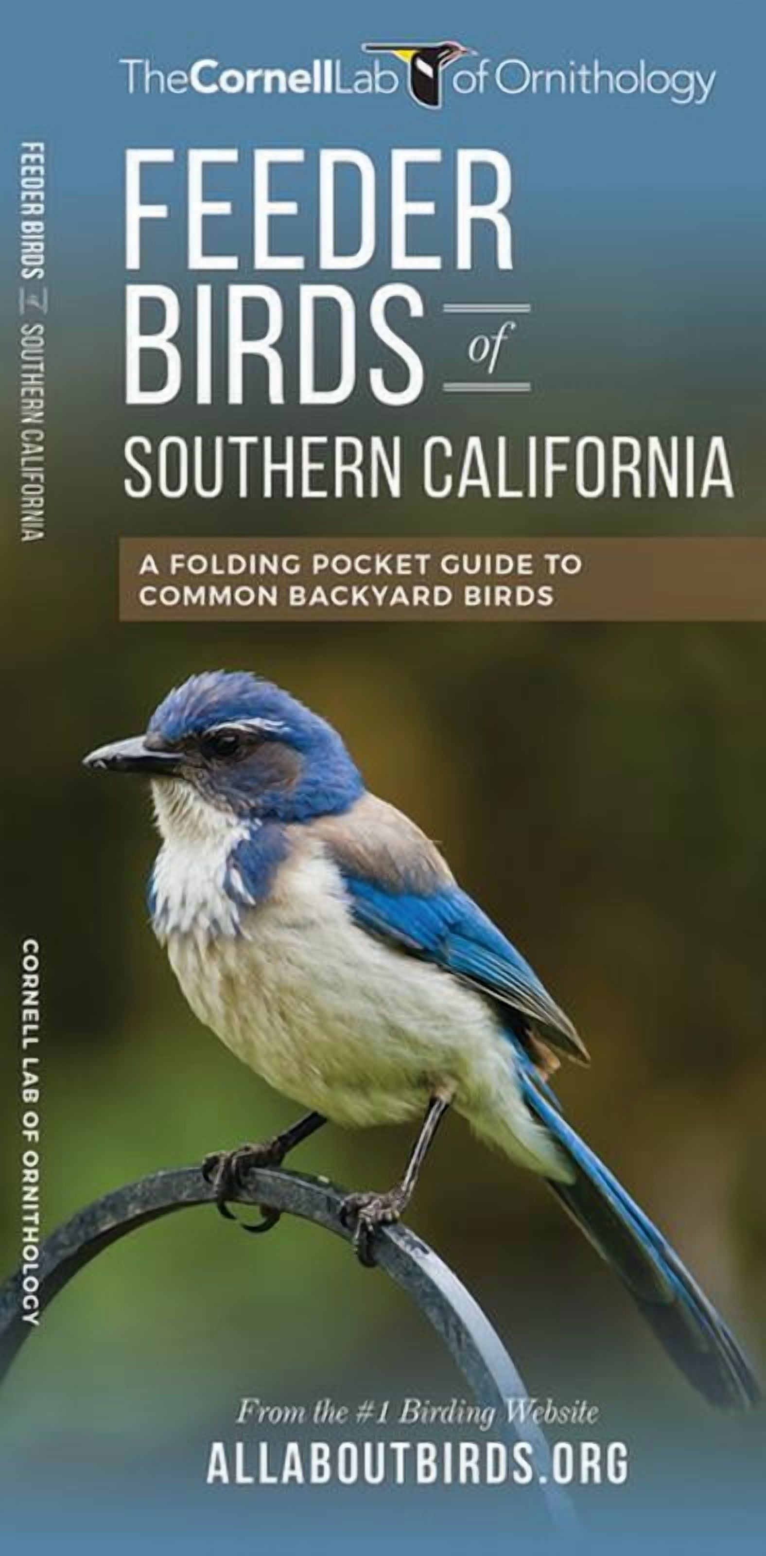 All about Birds Feeder Birds of Southern California: A Folding Pocket ...