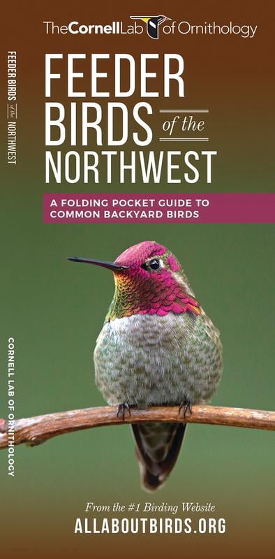 Wildlife and Nature Identification: Feeder Birds of the Northwest : A ...