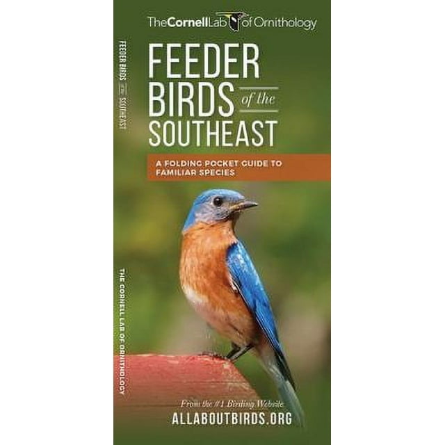 Wildlife And Nature Identification Feeder Birds Of The Southeast A