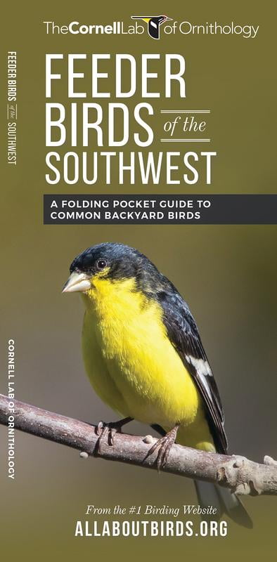 Wildlife and Nature Identification: Feeder Birds of the Southwest : A ...