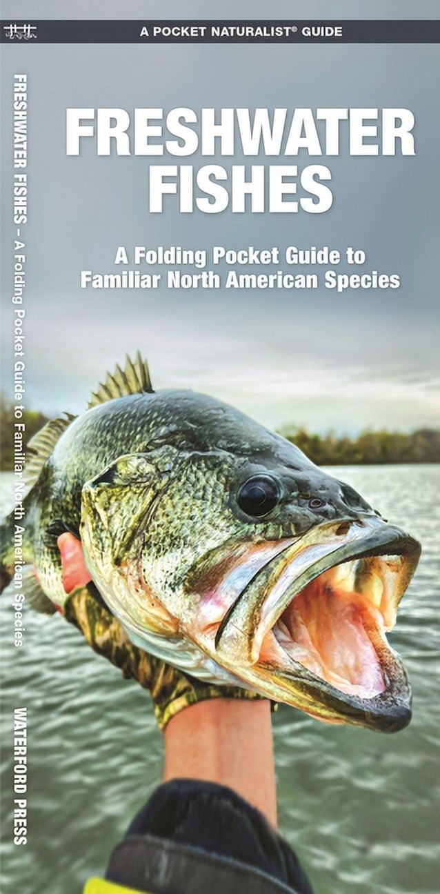 Wildlife and Nature Identification: Freshwater Fishes : A Folding ...