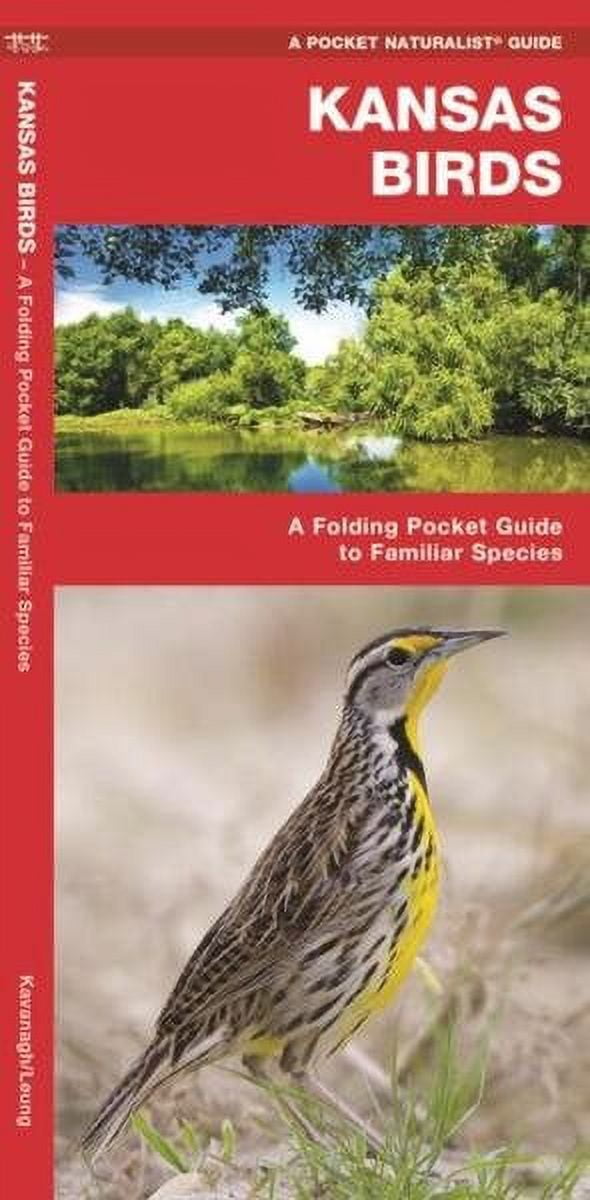 Wildlife and Nature Identification: Kansas Birds : A Folding Pocket ...