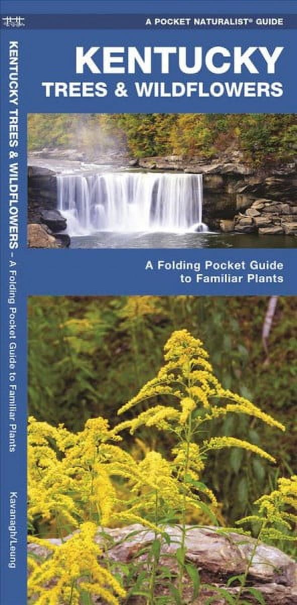 Wildlife and Nature Identification: Kentucky Trees & Wildflowers : A ...