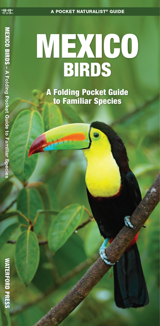 Wildlife and Nature Identification: Mexico Birds : A Folding Pocket ...