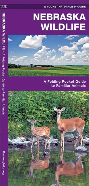 Wildlife and Nature Identification: Nebraska Wildlife : A Folding ...