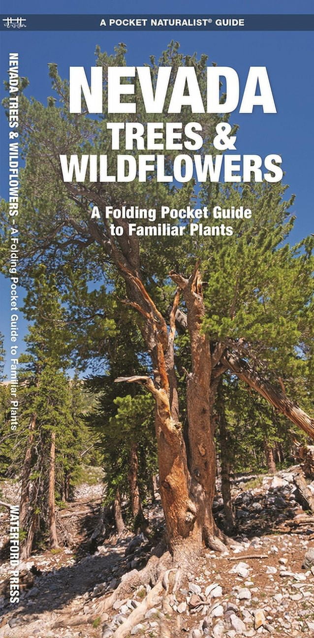 Wildlife and Nature Identification: Nevada Trees & Wildflowers : A ...