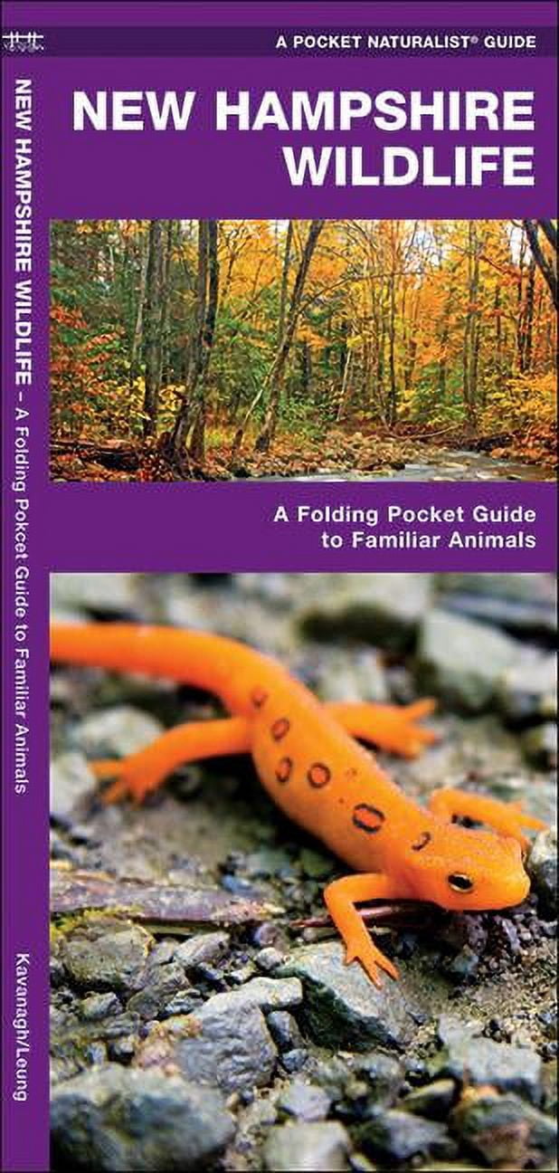 New Hampshire Wildlife: An Introduction to Familiar Species - Walmart ...