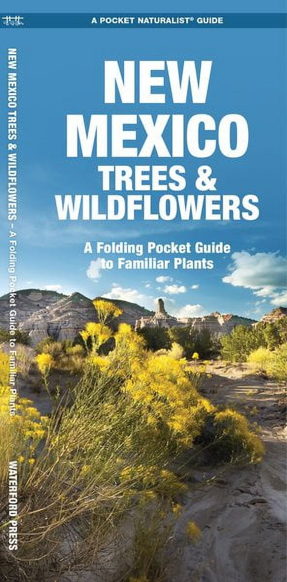 Nature Observation North America: New Mexico Trees & Wildflowers : A ...
