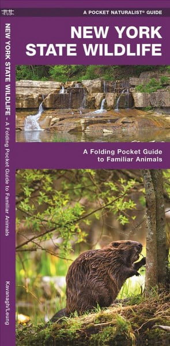 Wildlife and Nature Identification: New York State Wildlife : A Folding ...