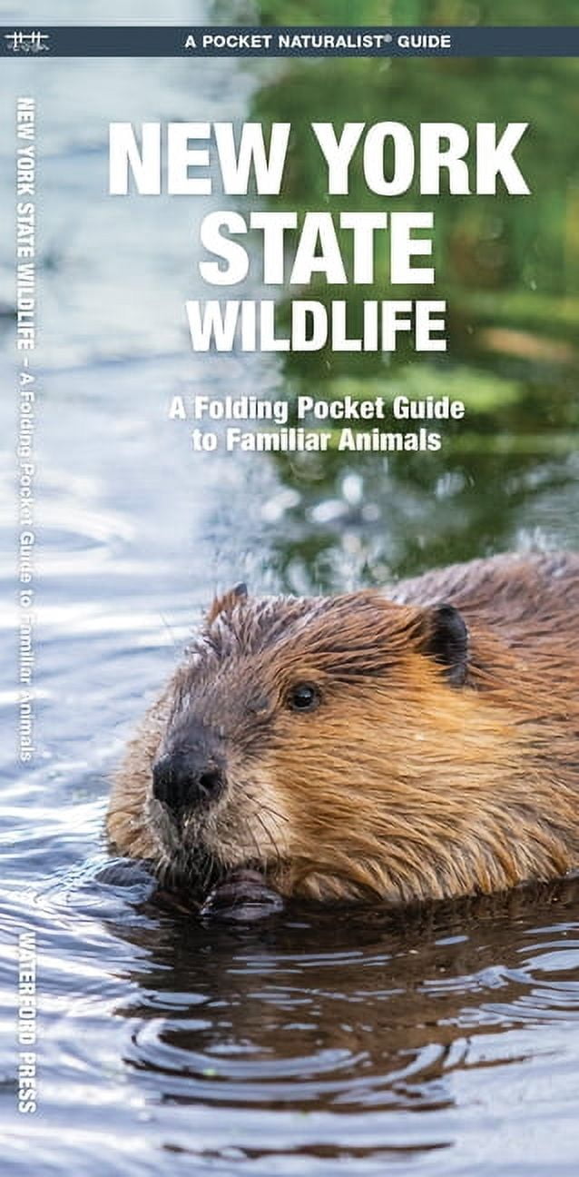 Wildlife and Nature Identification: New York State Wildlife : A Folding ...