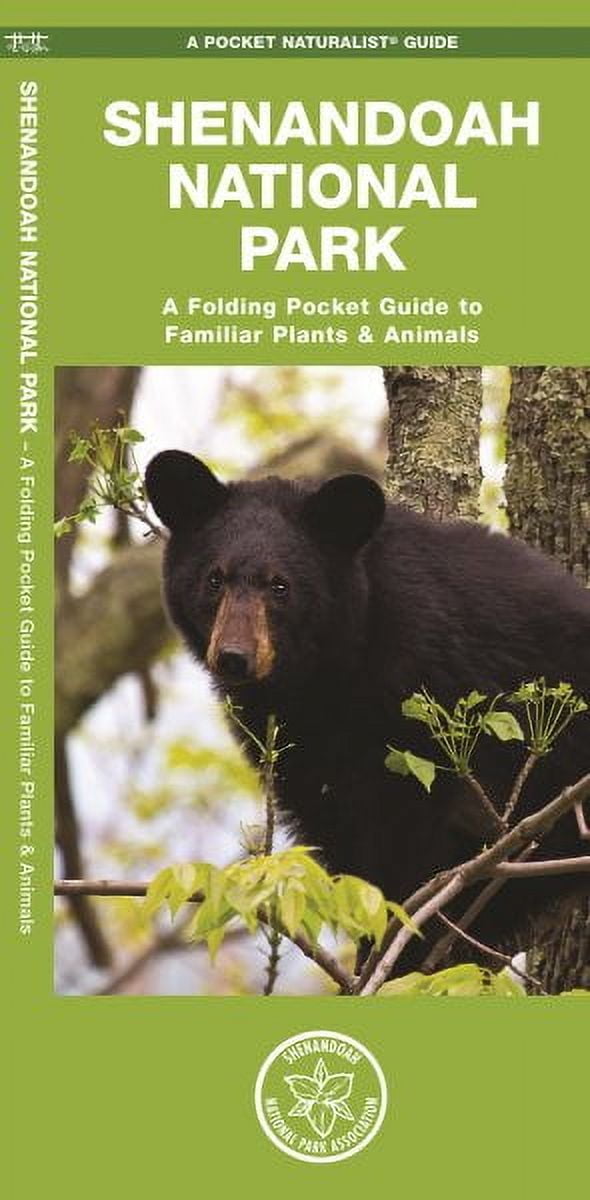 Shenandoah National Park Wildlife