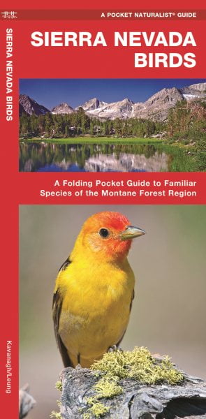 Wildlife and Nature Identification: Sierra Nevada Birds : A Folding ...