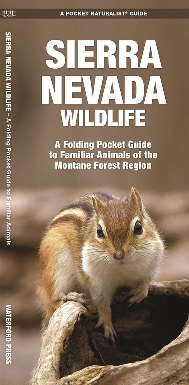 Wildlife and Nature Identification: Sierra Nevada Wildlife : A Folding ...