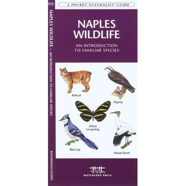 National Audubon Society Pocket Guides: National Audubon Society Pocket ...