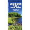 Nature Observation North America Wisconsin Trees & Wildflowers: A ...