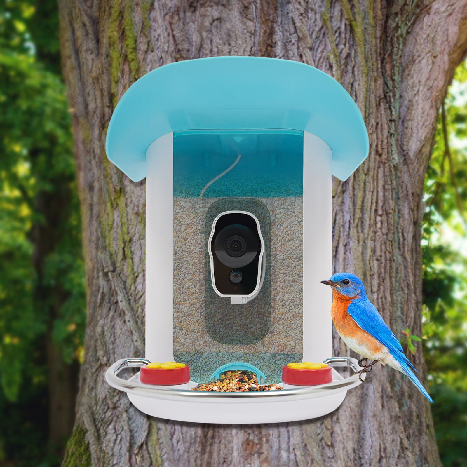 Wildnix Bird Feeder with 1080P HD Camera, 150° Wide Angle, Night Vision ...