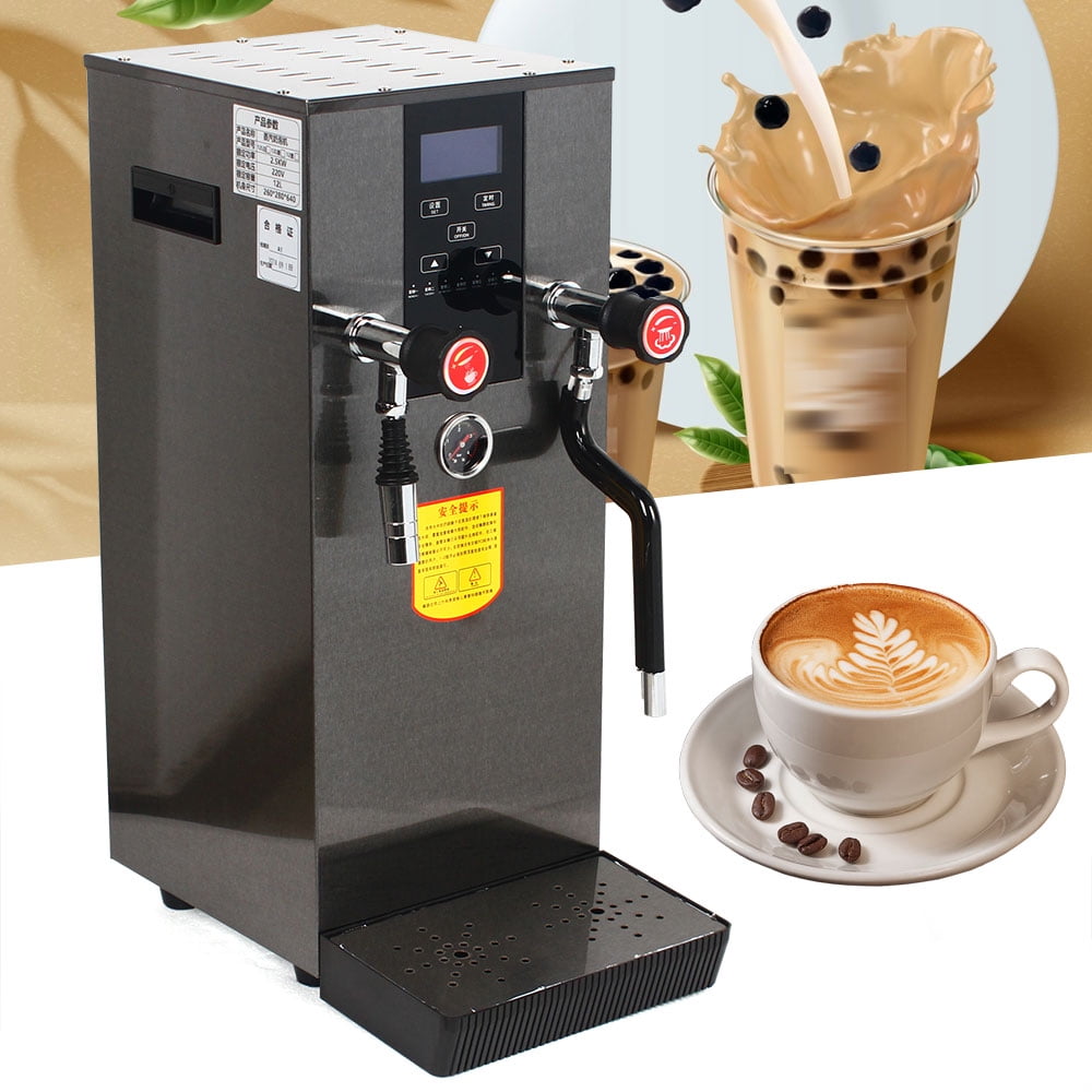 Wildnix High-Efficiency Steam Water Boiling Machine with 3.17gal/H ...