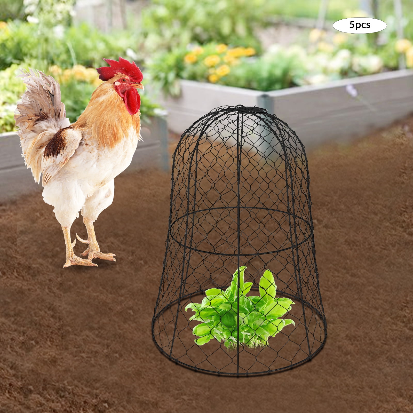 Wildnix Metal Plant Cages, Large Size 12.99"H×15.75"D, High-Quality ...