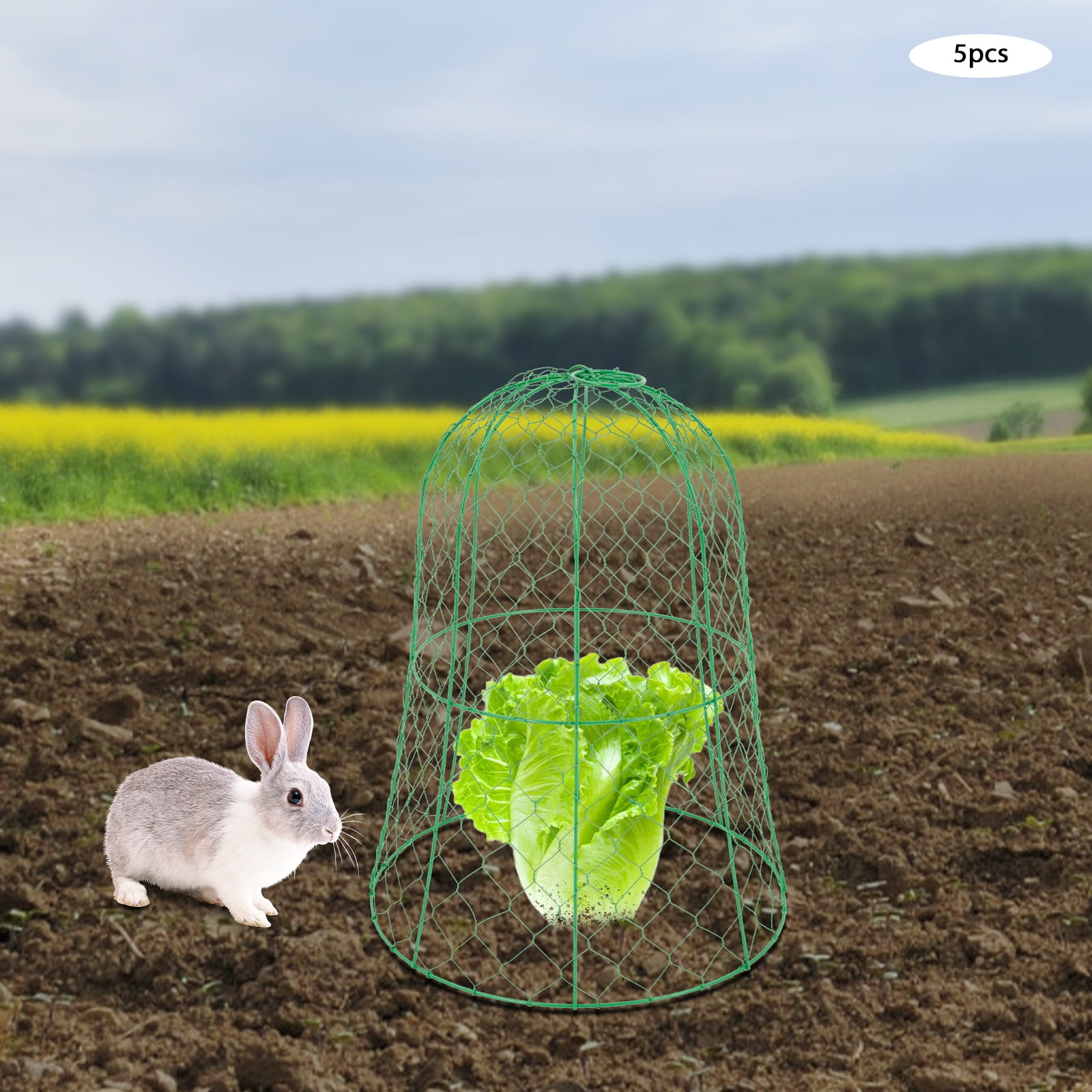 Wildnix Metal Plant Protective Cages, Green Garden Wire Cloche Set of 5 ...